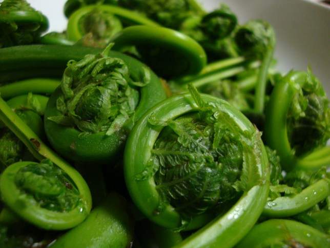 Nancy Warner – thePotlicker.LLC