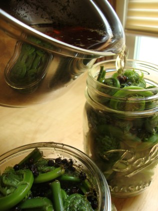 Pickled Fiddlehead Ferns – Nancy Warner