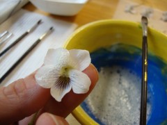 Candied Wild Violets – Nancy Warner