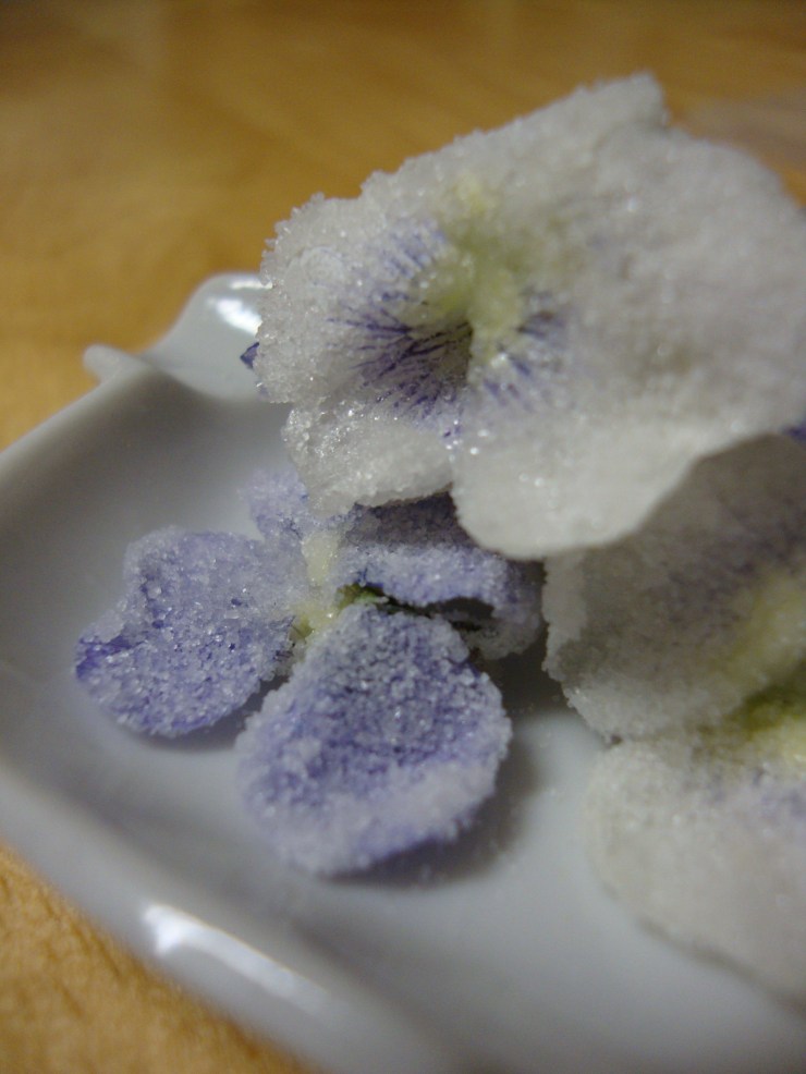 Candied Wild Violets – Nancy Warner