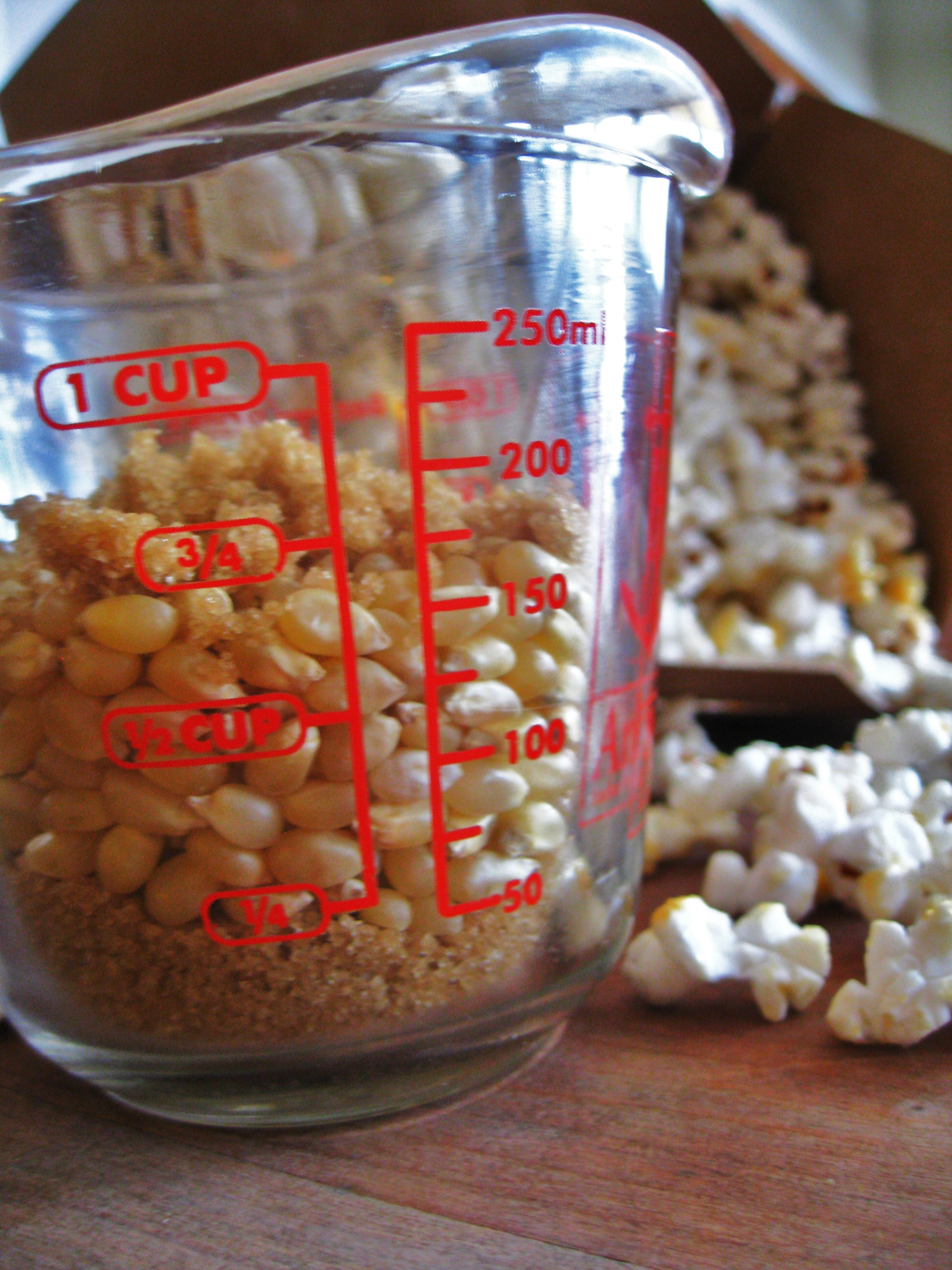 Kettle Corn & Popcorn from the Bat Cave – Nancy Warner