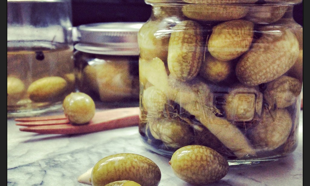 Lemon Pickled Mouse Melons – Nancy Warner