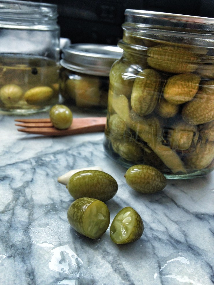 Lemon Pickled Mouse Melons – Nancy Warner